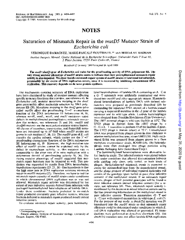 (PDF) Saturation of mismatch repair in the mutD5 mutator strain of ...