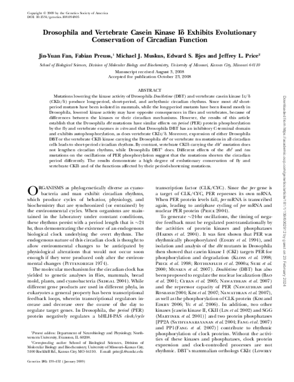 Pdf Drosophila And Vertebrate Casein Kinase Iδ Exhibits Evolutionary Conservation Of Circadian