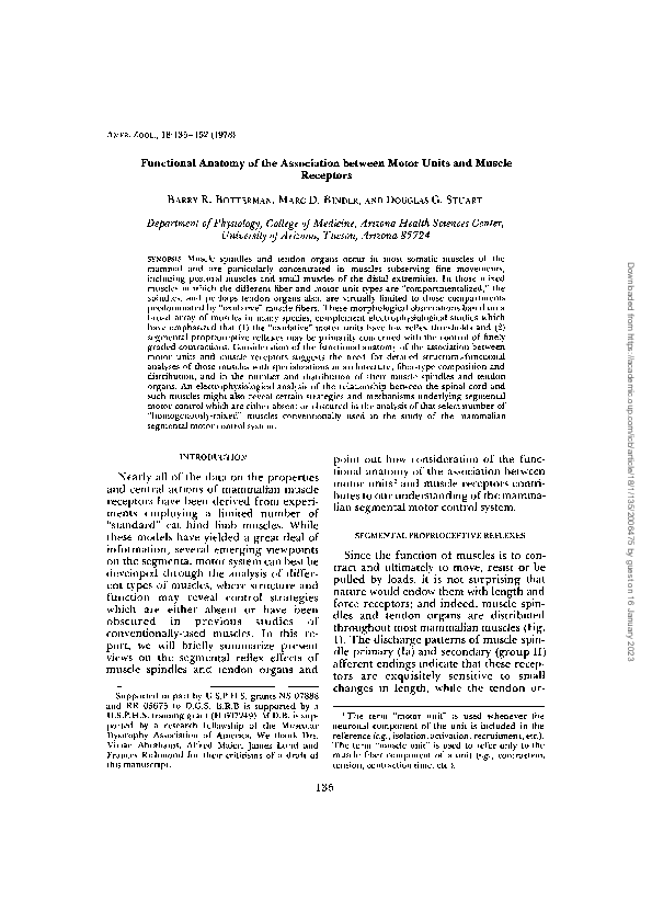 (PDF) Functional Anatomy of the Association Between Motor Units and ...
