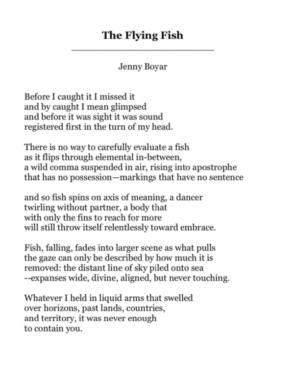 (PDF) The Flying Fish