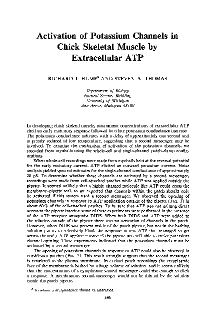 (PDF) Activation of Potassium Channels in Chick Skeletal Muscle by
