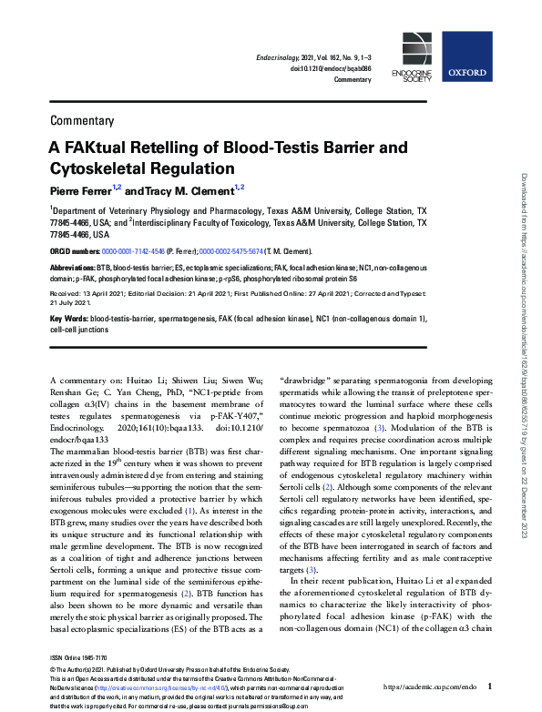 (PDF) A FAKtual Retelling of Blood-Testis Barrier and Cytoskeletal ...