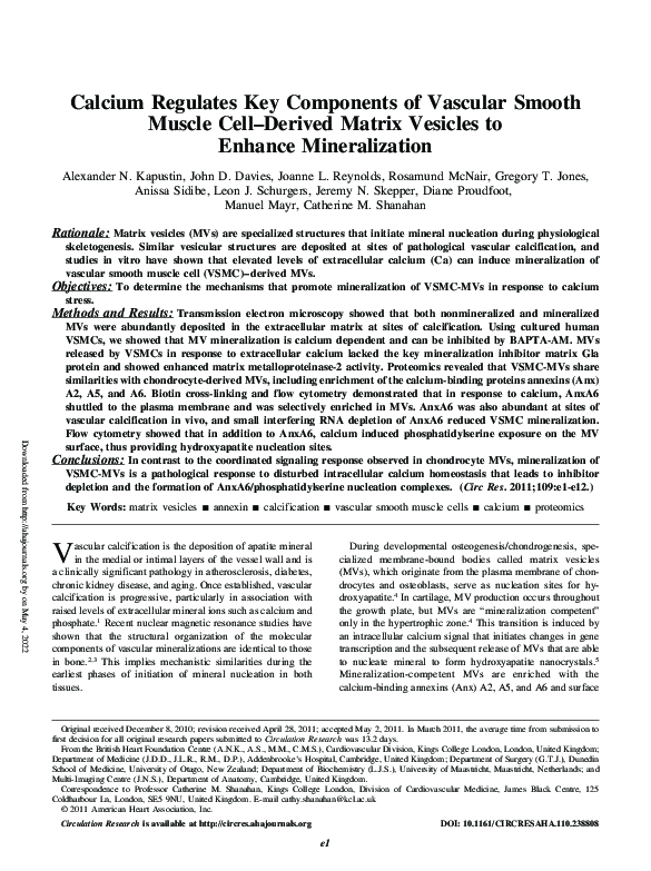 (PDF) Calcium Regulates Key Components of Vascular Smooth Muscle Cell ...