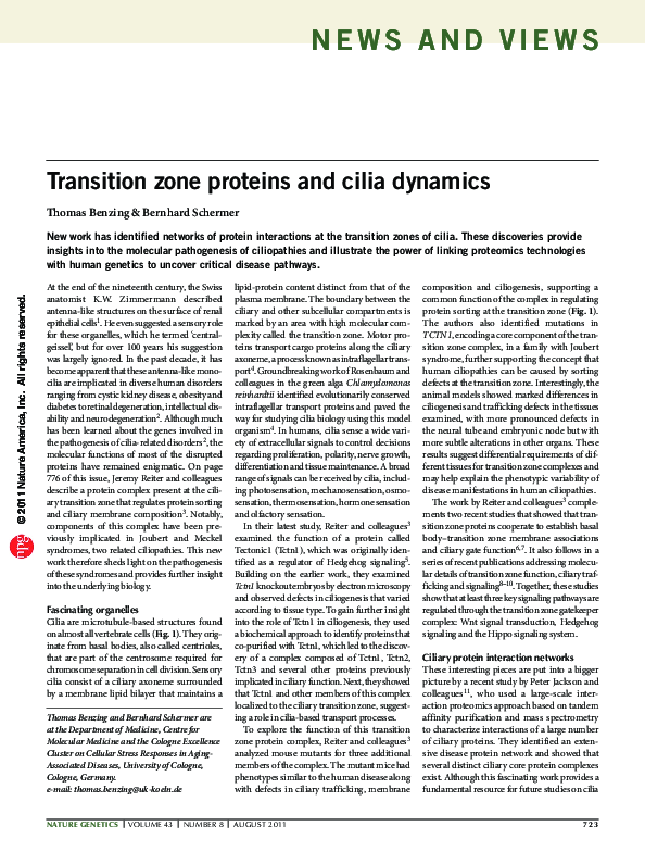 (PDF) Transition zone proteins and cilia dynamics