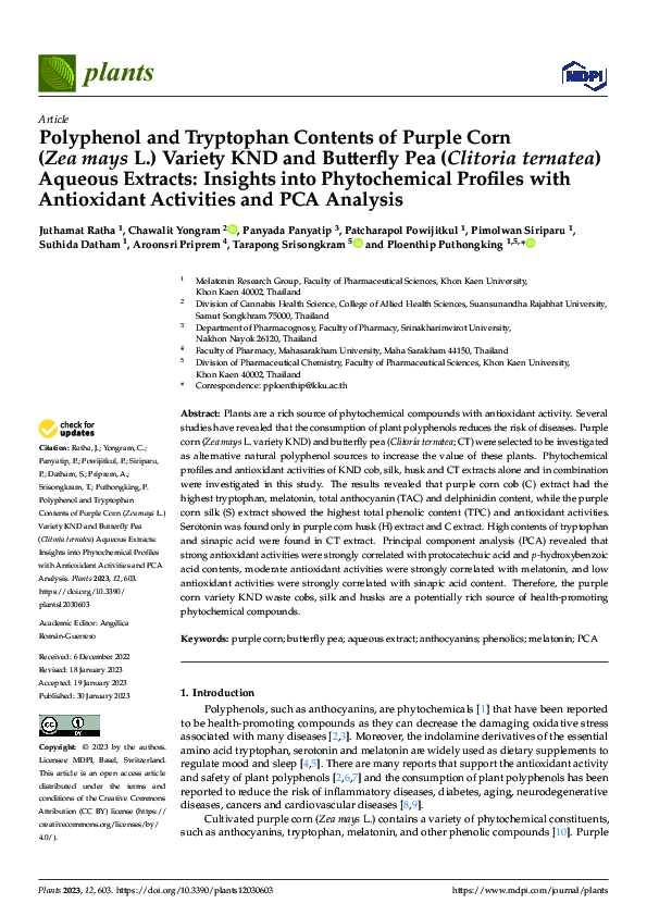 (PDF) Polyphenol and Tryptophan Contents of Purple Corn (Zea mays L ...