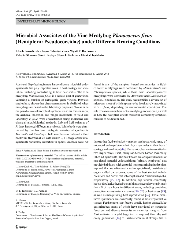 (PDF) Microbial associates of the vine mealybug Planococcus ficus ...