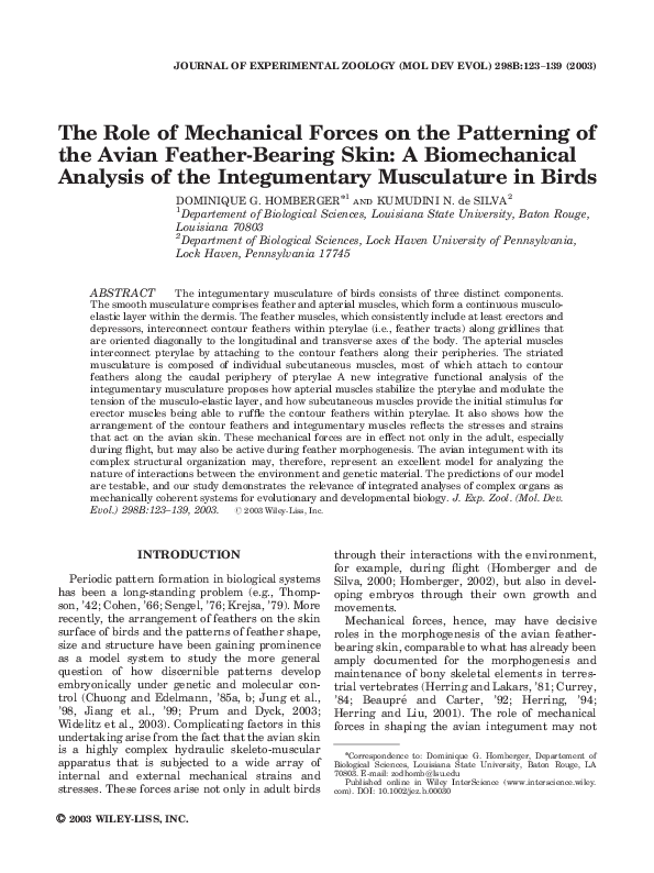 (PDF) The role of mechanical forces on the patterning of the avian ...