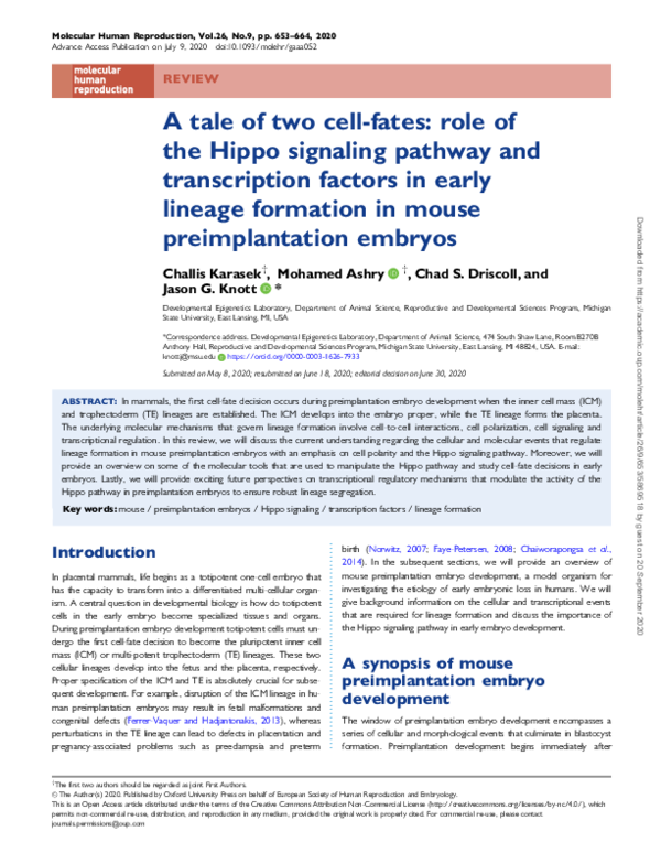 (PDF) A tale of two cell-fates: role of the Hippo signaling pathway and ...