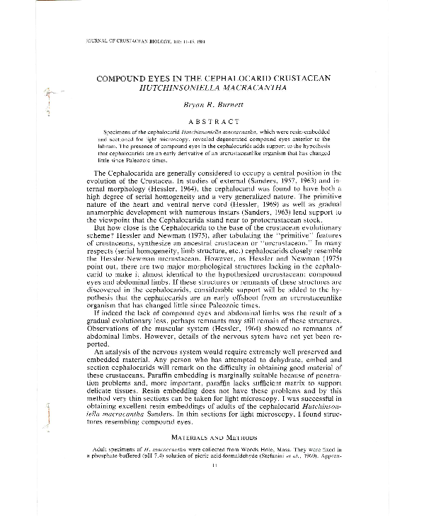 (PDF) Compound Eyes in the Cephalocarid Crustacean Hutchinsoniella ...