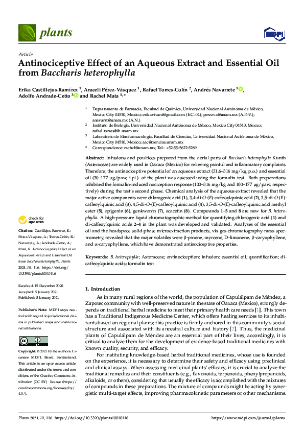 (PDF) Antinociceptive Effect of an Aqueous Extract and Essential Oil from Baccharis heterophylla
