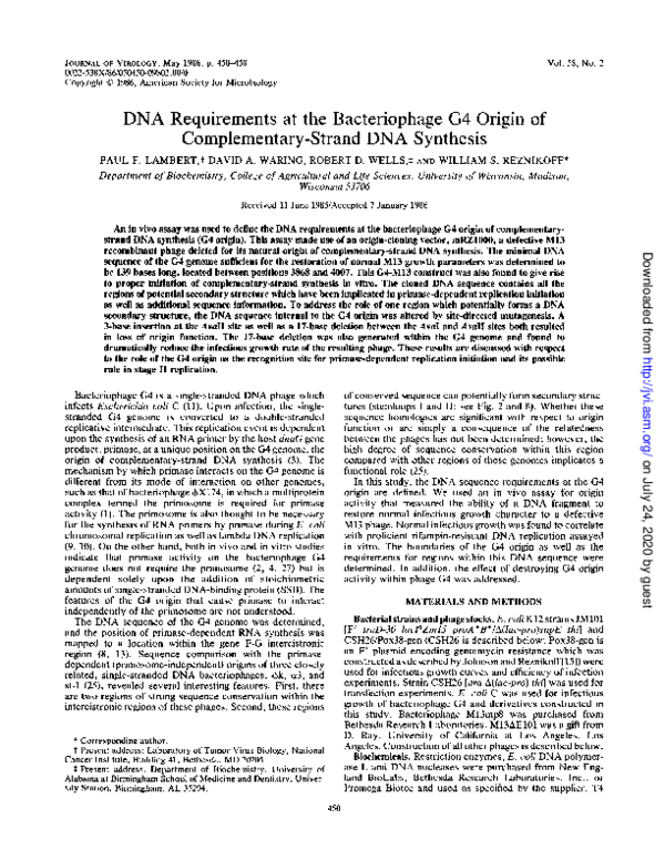 (PDF) DNA requirements at the bacteriophage G4 origin of complementary ...
