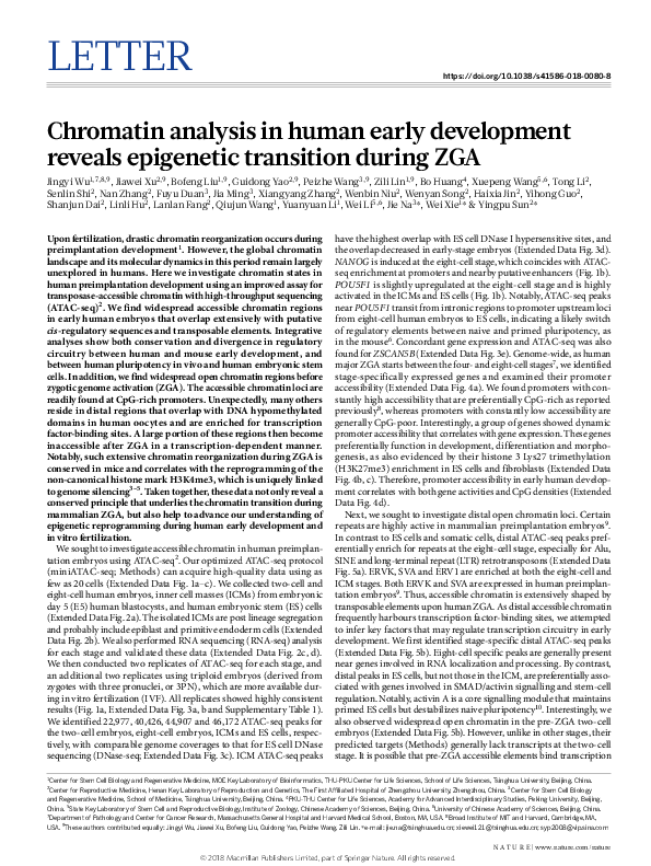 (PDF) Chromatin analysis in human early development reveals epigenetic ...