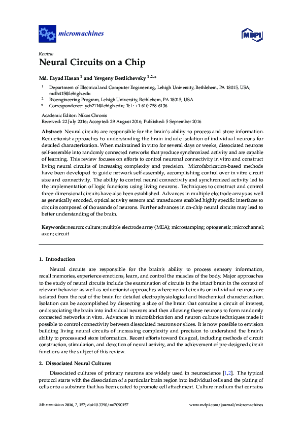 (PDF) Neural Circuits on a Chip