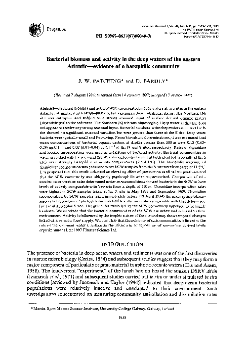 (PDF) Bacterial biomass and activity in the deep waters of the eastern ...