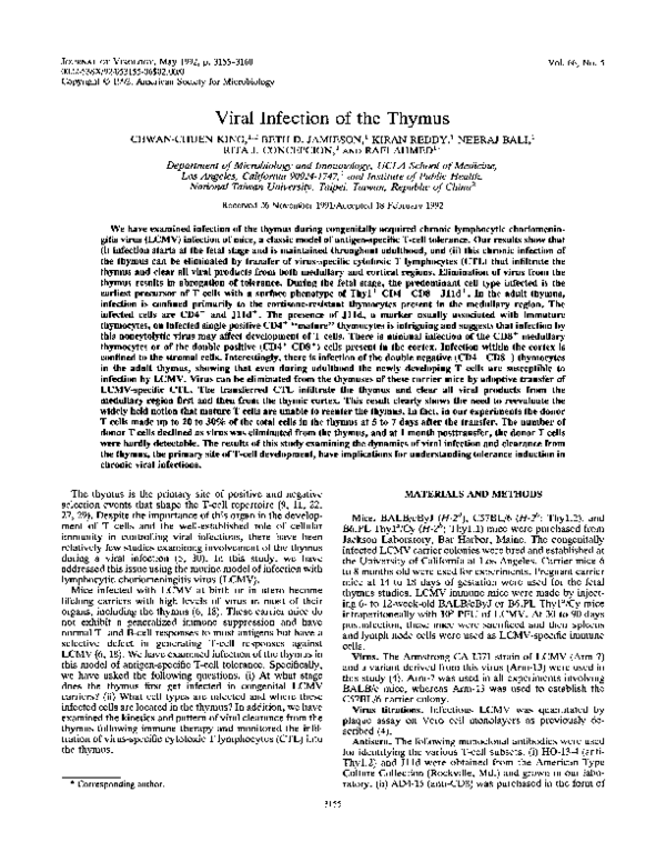 (PDF) Viral infection of the thymus