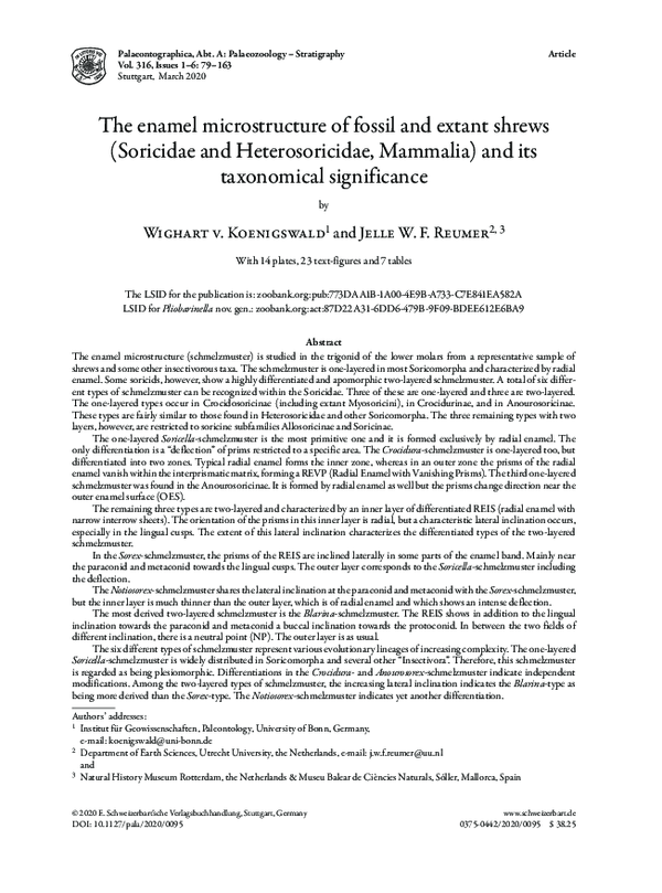(PDF) The enamel microstructure of fossil and extant shrews (Soricidae ...