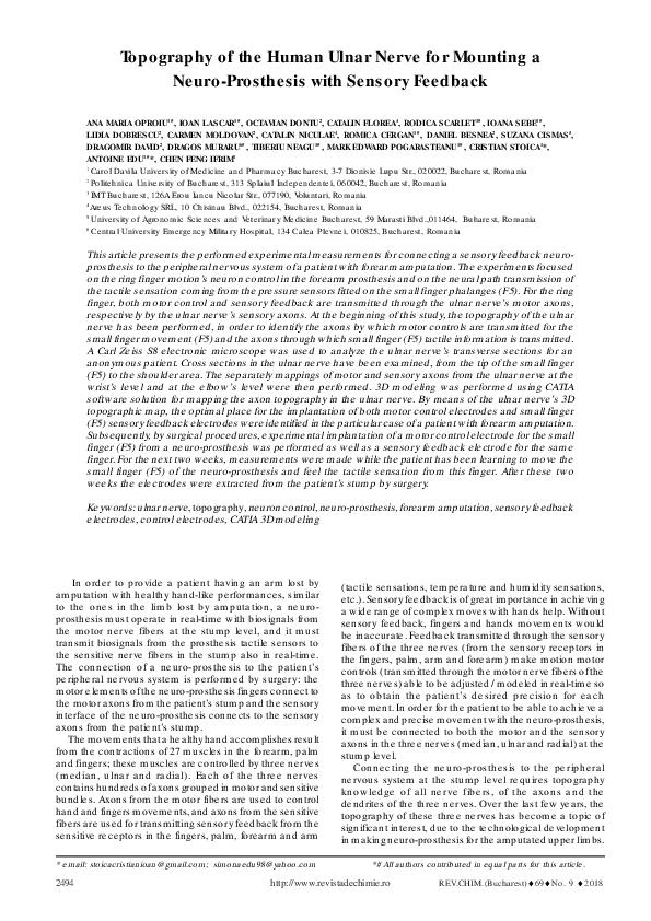 (PDF) Topography of the Human Ulnar Nerve for Mounting a Neuro ...