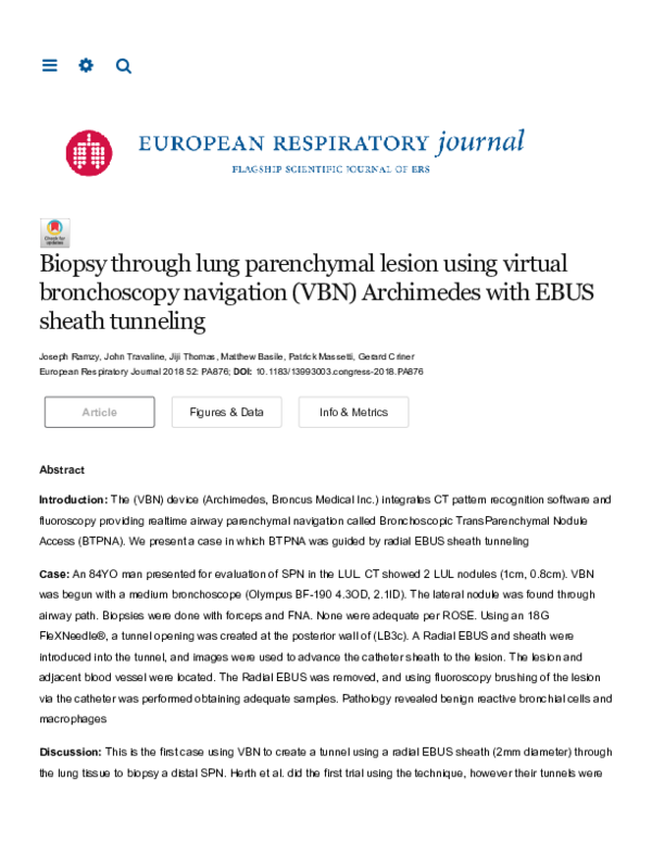 (PDF) Biopsy through lung parenchymal lesion using virtual bronchoscopy ...