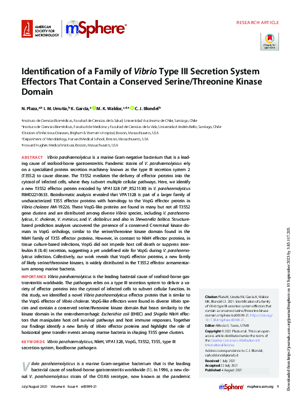 Identification of a Family of Vibrio Type III Secretion System ...