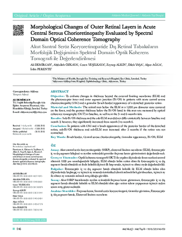 (PDF) Morphological Changes of Outer Retinal Layers in Naive Central Serous Chorioretinopathy ...