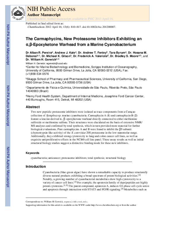 (PDF) The Carmaphycins: New Proteasome Inhibitors Exhibiting an α,β ...