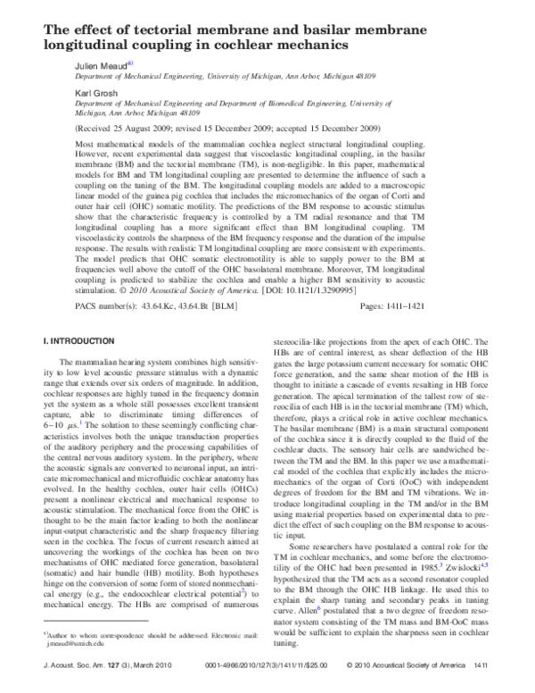 (PDF) Impact of Longitudinal Coupling in Cochlear Mechanics