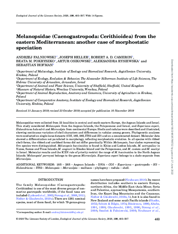 (PDF) Melanopsidae (Caenogastropoda: Cerithioidea) from the eastern ...