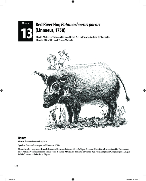 (PDF) Red River Hog Potamochoerus porcus (Linnaeus, 1758)