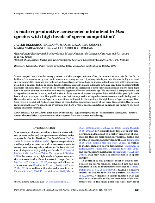 (PDF) Is male reproductive senescence minimized in Mus species with ...