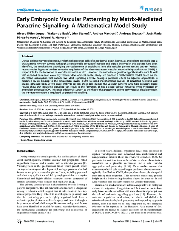 (PDF) Early Embryonic Vascular Patterning by Matrix-Mediated Paracrine ...