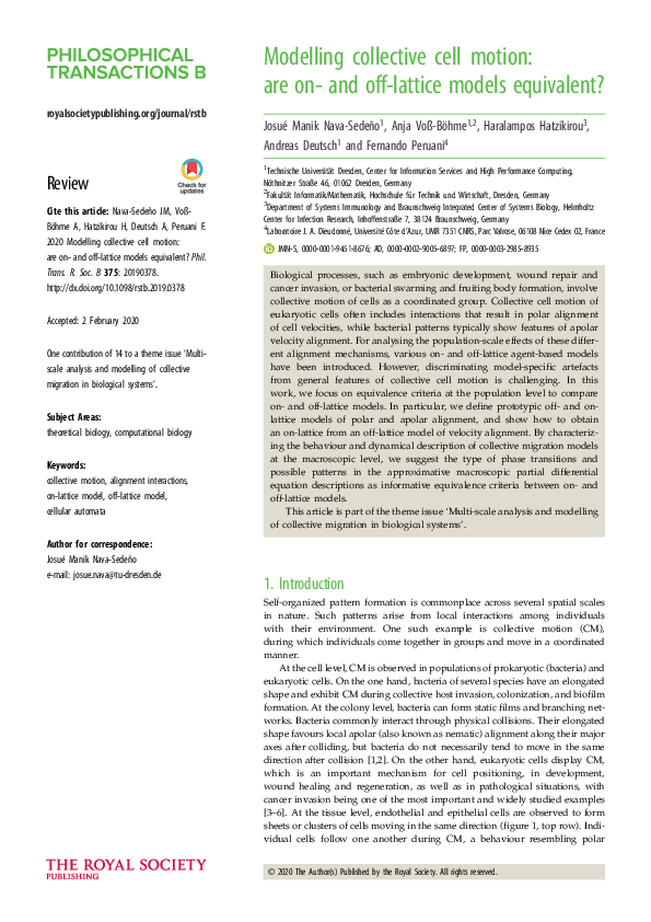 (PDF) Modelling collective cell motion: are on- and off-lattice models ...