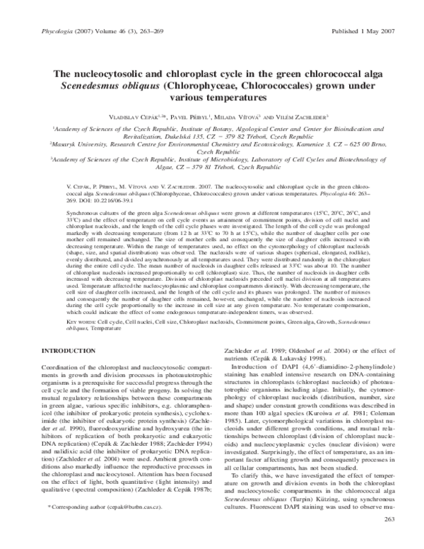 (PDF) The nucleocytosolic and chloroplast cycle in the green ...