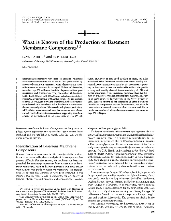 (PDF) What is Known of the Production of Basement Membrane Components ...