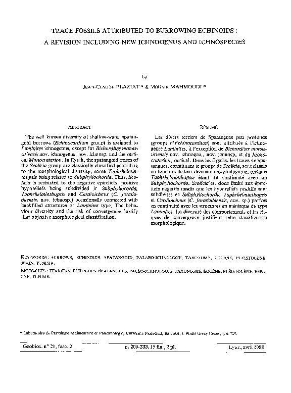 (PDF) Trace fossils attributed to burrowing echinoids: A revision ...
