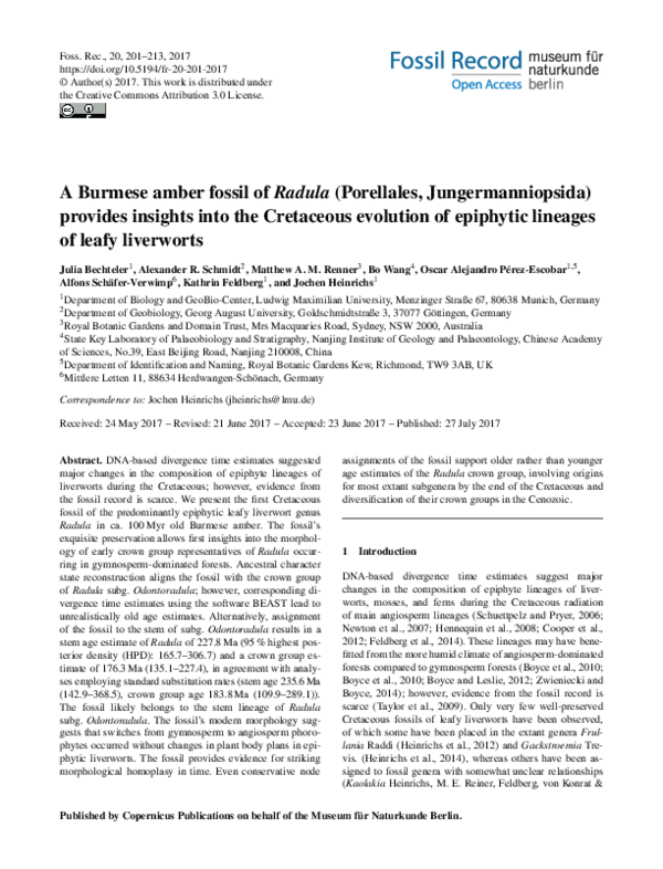 (PDF) A Burmese amber fossil of Radula (Porellales, Jungermanniopsida ...