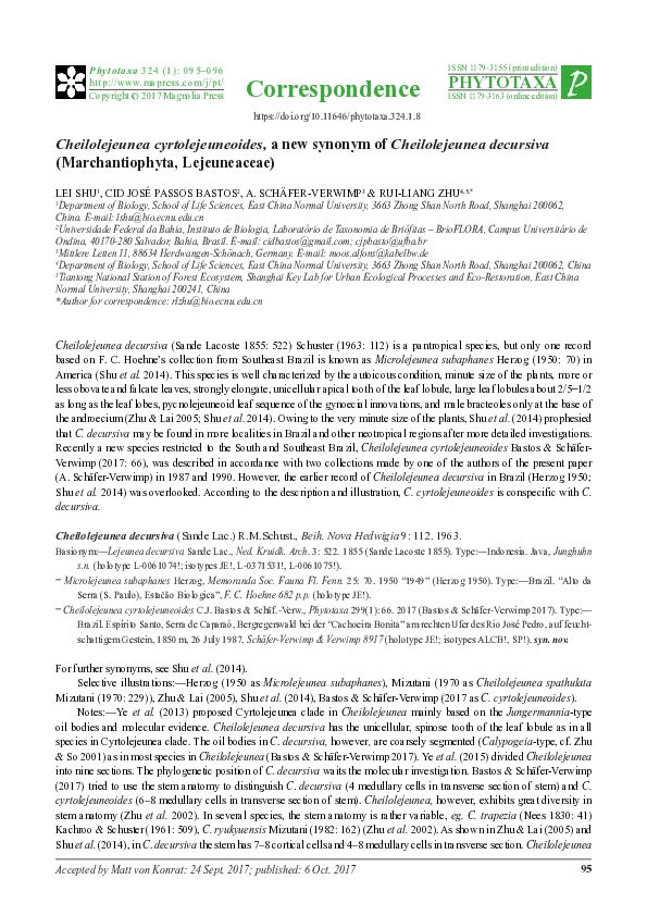 (PDF) Cheilolejeunea cyrtolejeuneoides, a new synonym of Cheilolejeunea ...