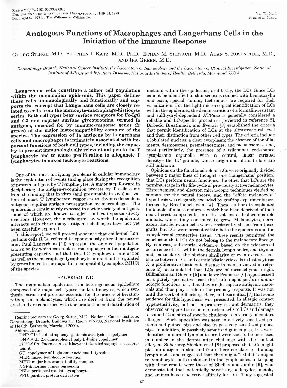 (PDF) Analogous Functions of Macrophages and Langerhans Cells in the ...