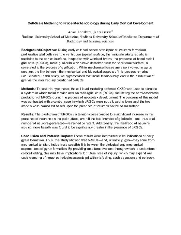 (PDF) Cell-Scale Modeling to Probe Mechanobiology during Early Cortical ...