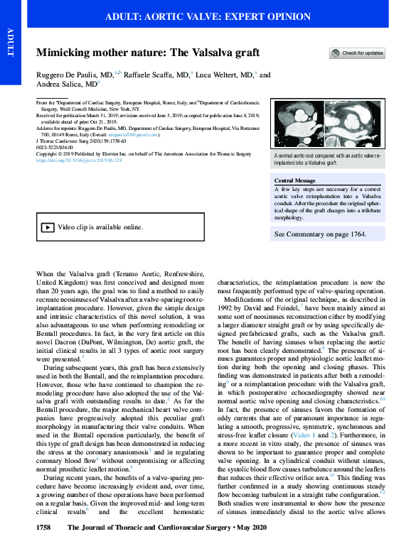 (PDF) Mimicking mother nature: The Valsalva graft