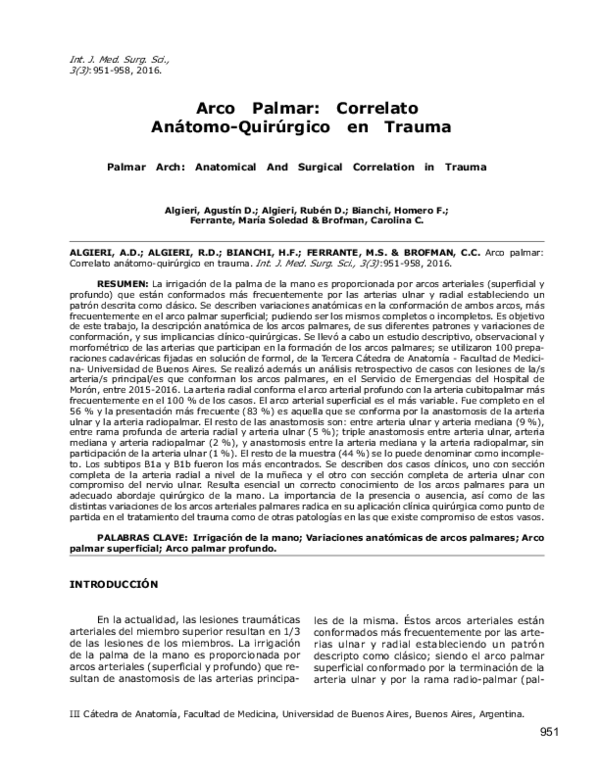 (PDF) Palmar Arch: Anatomical And Surgical Correlation in Trauma