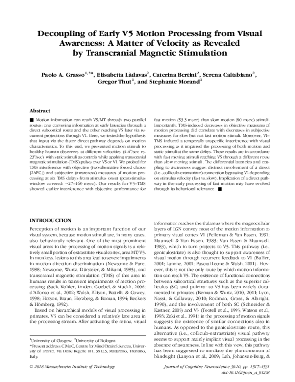 (PDF) Decoupling of Early V5 Motion Processing from Visual Awareness: A ...