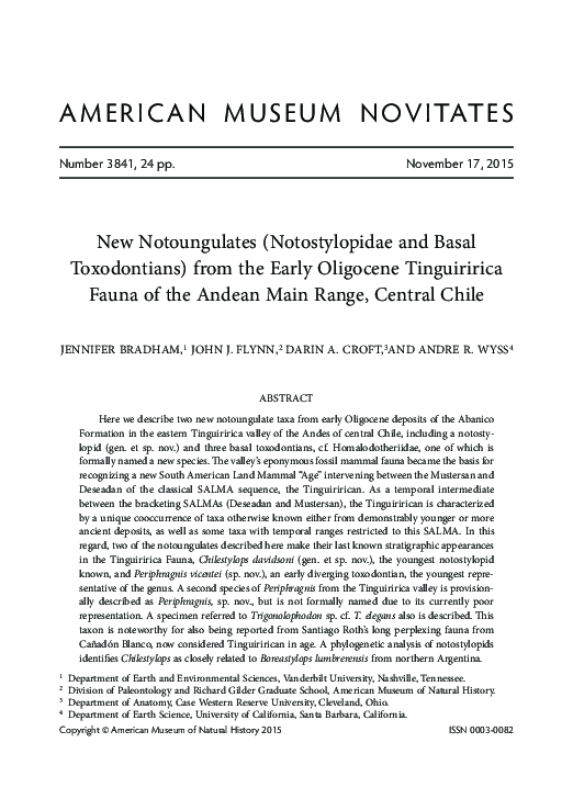 (PDF) New notoungulates (Notostylopidae and basal toxodontians) from ...