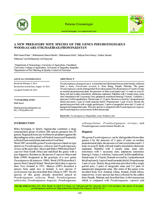 (PDF) A new predatory mite species of the genus Pseudostigmaeus wood ...