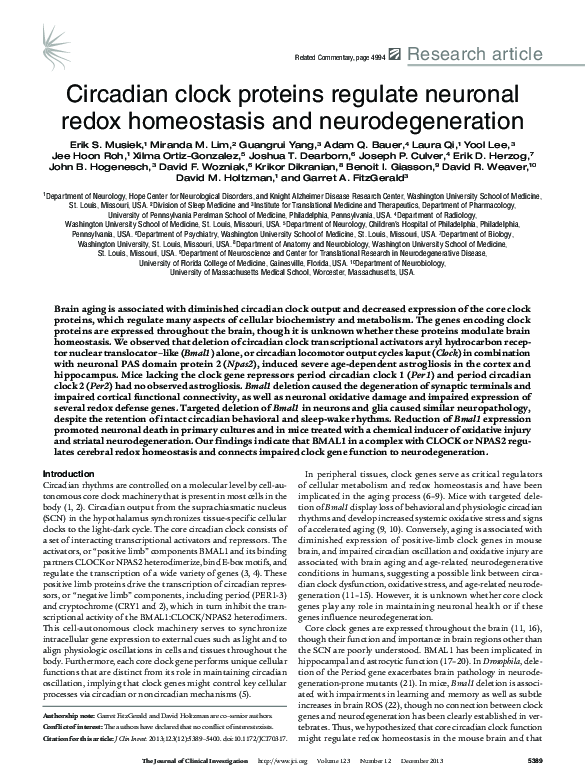 (PDF) Circadian clock proteins regulate neuronal redox homeostasis and ...
