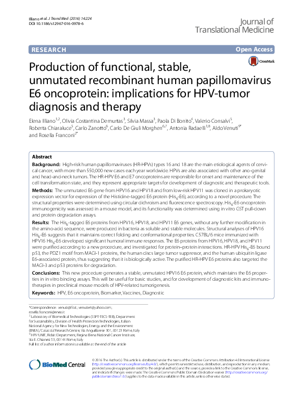 (PDF) Production of functional, stable, unmutated recombinant human ...
