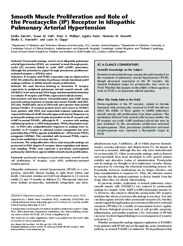 (PDF) Smooth Muscle Proliferation and Role of the Prostacyclin (IP ...