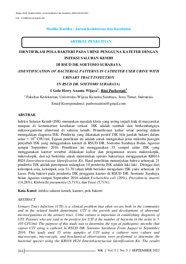 (PDF) Identifikasi Pola Bakteri Pada Urine Pengguna Kateter Dengan ...