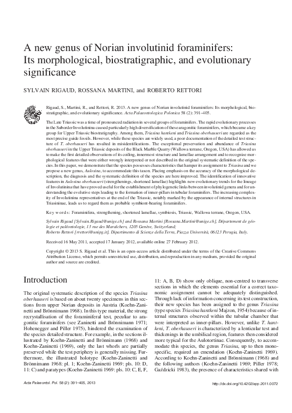 (PDF) A new genus of Norian involutinid foraminifer: Its morphological ...