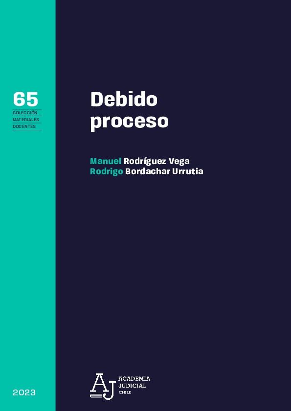 (PDF) Debido proceso