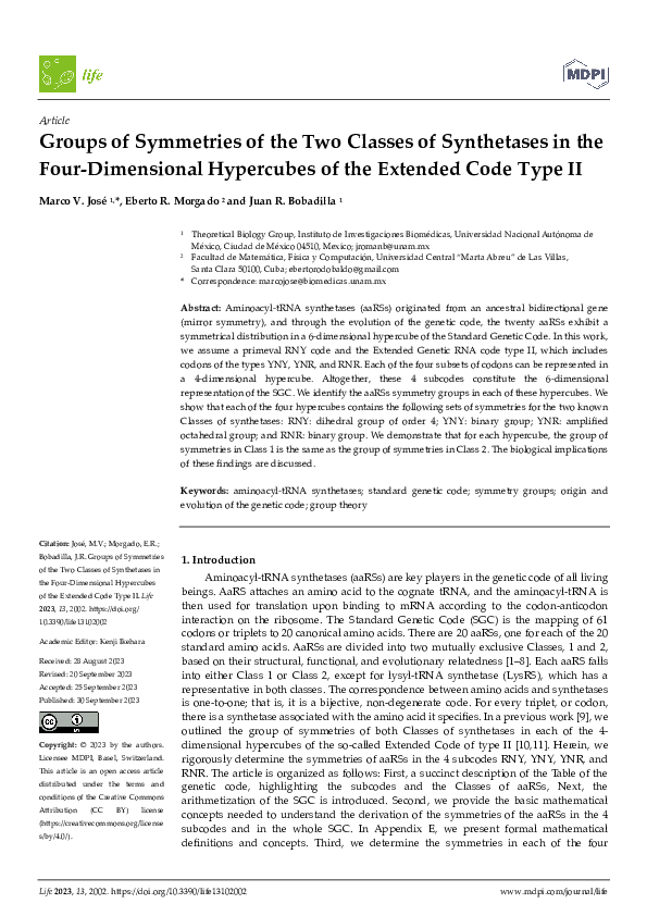 (PDF) Symmetry Groups of Synthetases in Hypercubes